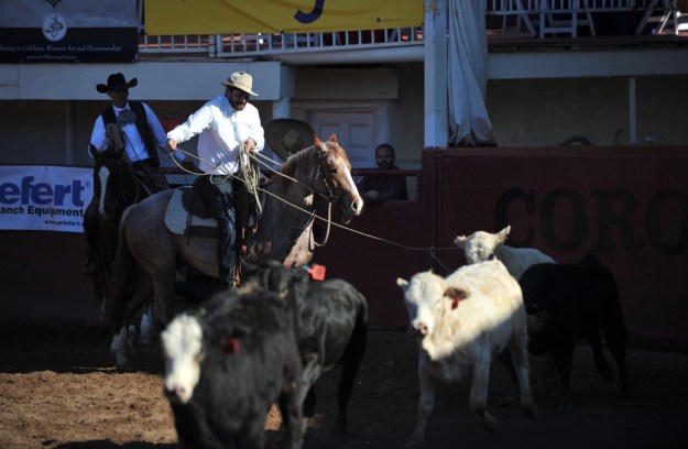 Pate family at Art of the Cowgirl | Curt Pate Stockmanship